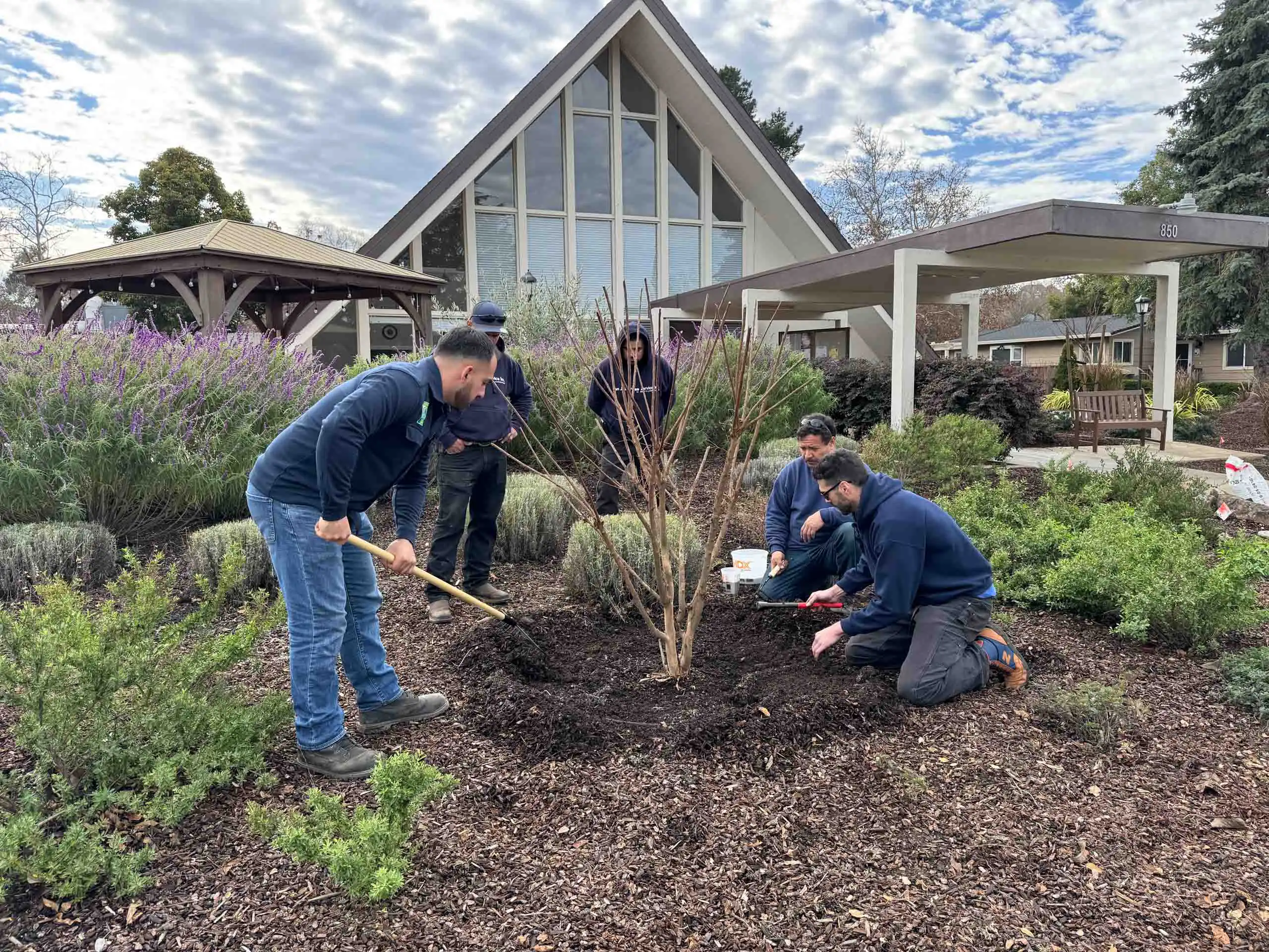 Expert Landscape Contractors Serving Mountain View, Atherton & San Jose, CA