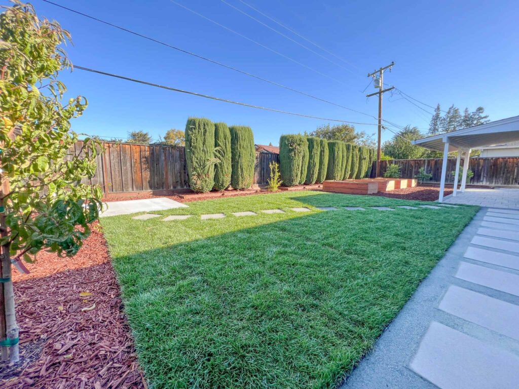 Los Gatos Tree Service & Landscaping Experts